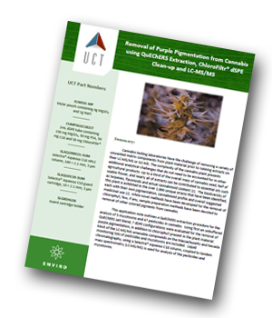 Removal of Purple Pigmentation from Cannabis using QuEChERS Extraction ...